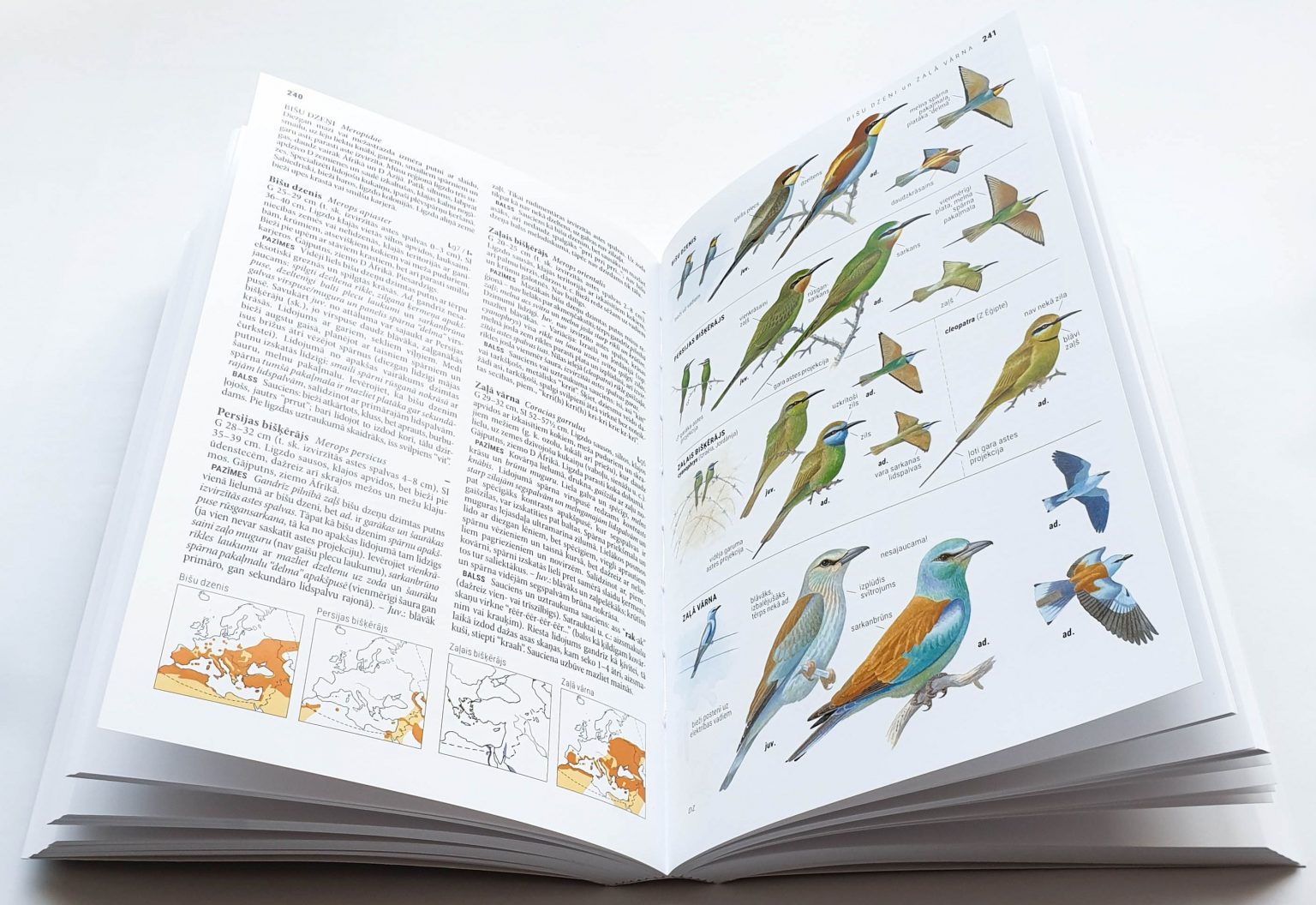 Eiropas putnu noteicējs latviešu valodā – Putni dabā